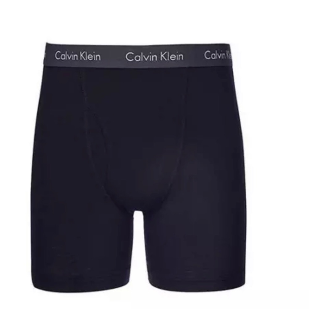 Calvin Klein Mens Underwear Boxer Brief Large Gem
